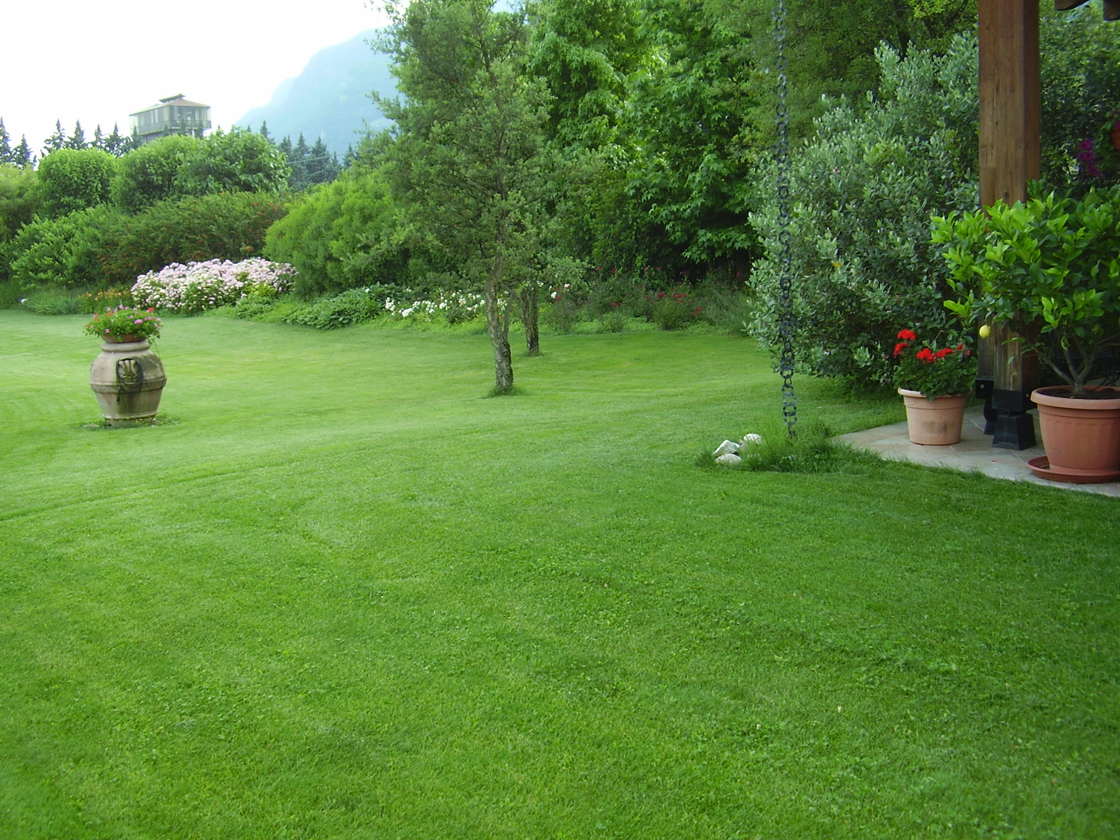 Nutrire il prato verde - Vita Trentina