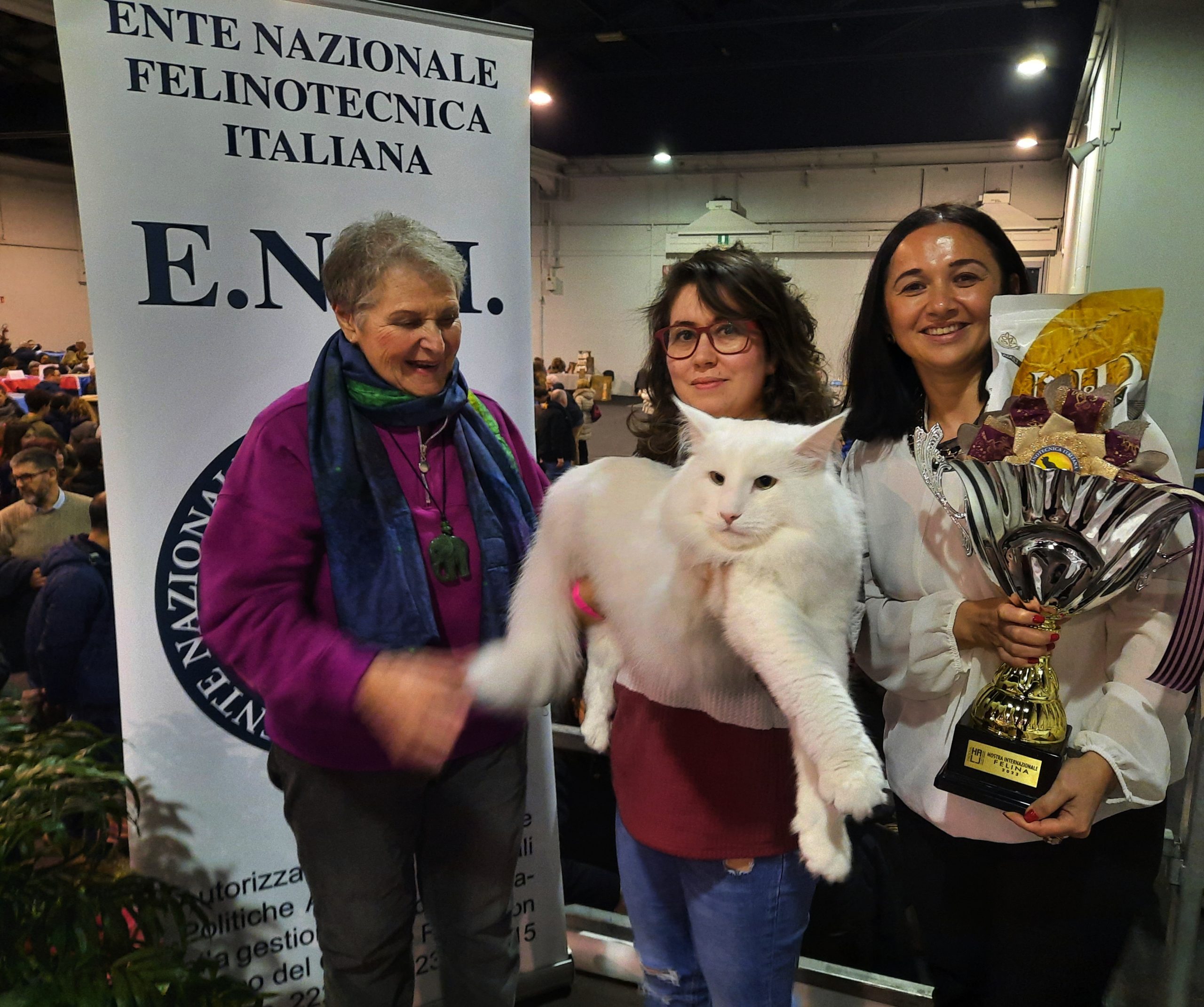 Si chiama Poldo e abita in Valsugana. È il gatto più bello del mondo ...